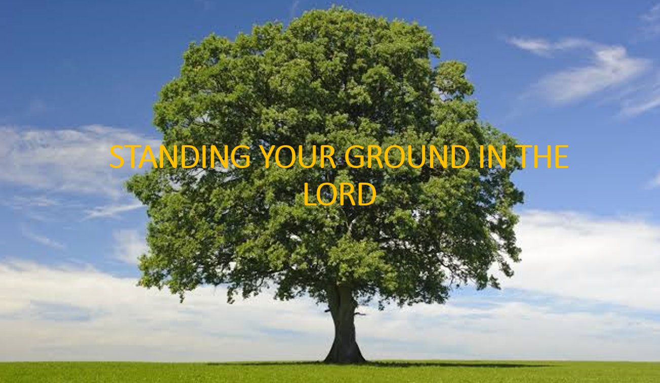 STANDING YOUR GROUND IN THE LORD.EPHESIANS 6:10 (FINALLY, BE STRONG IN ...